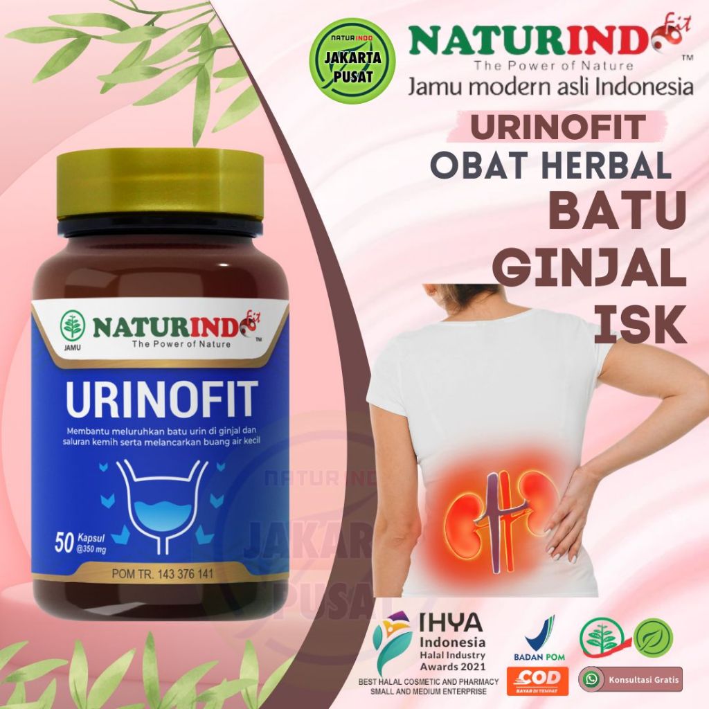 Jual Obat Infeksi Saluran Kencing Kemih Pria Wanita Obat Anyang Anyangen Kencing Beser Nanah ...