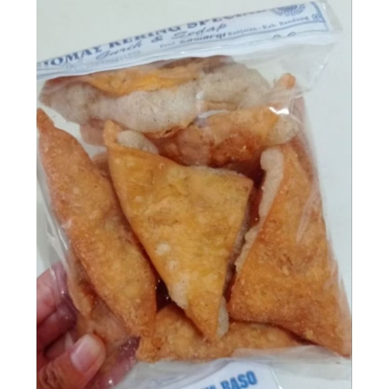 Jual Pangsit Segitiga / CIPET JUMBO isi 10 pcs | Shopee Indonesia