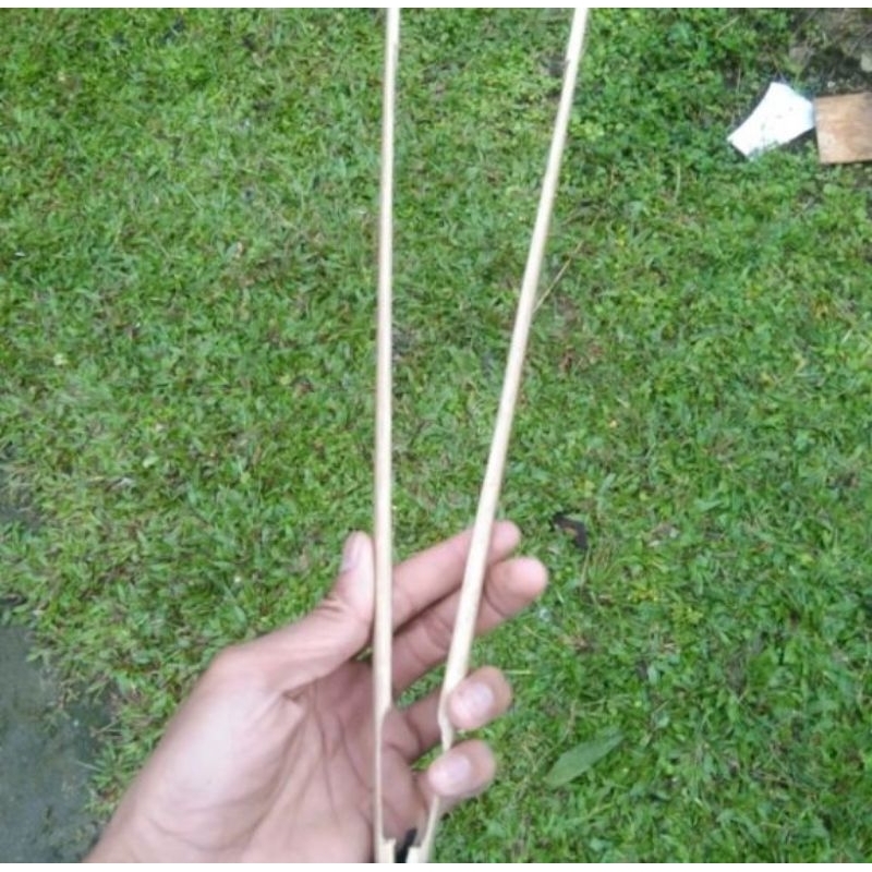 Jual capitan sampah 40cm praktis terbuat dari bambu pilihan | Shopee ...