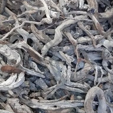 Jual Kayu Santigi Laut - Kayu Tenggelam - Aquascape - Channa - 2 ...