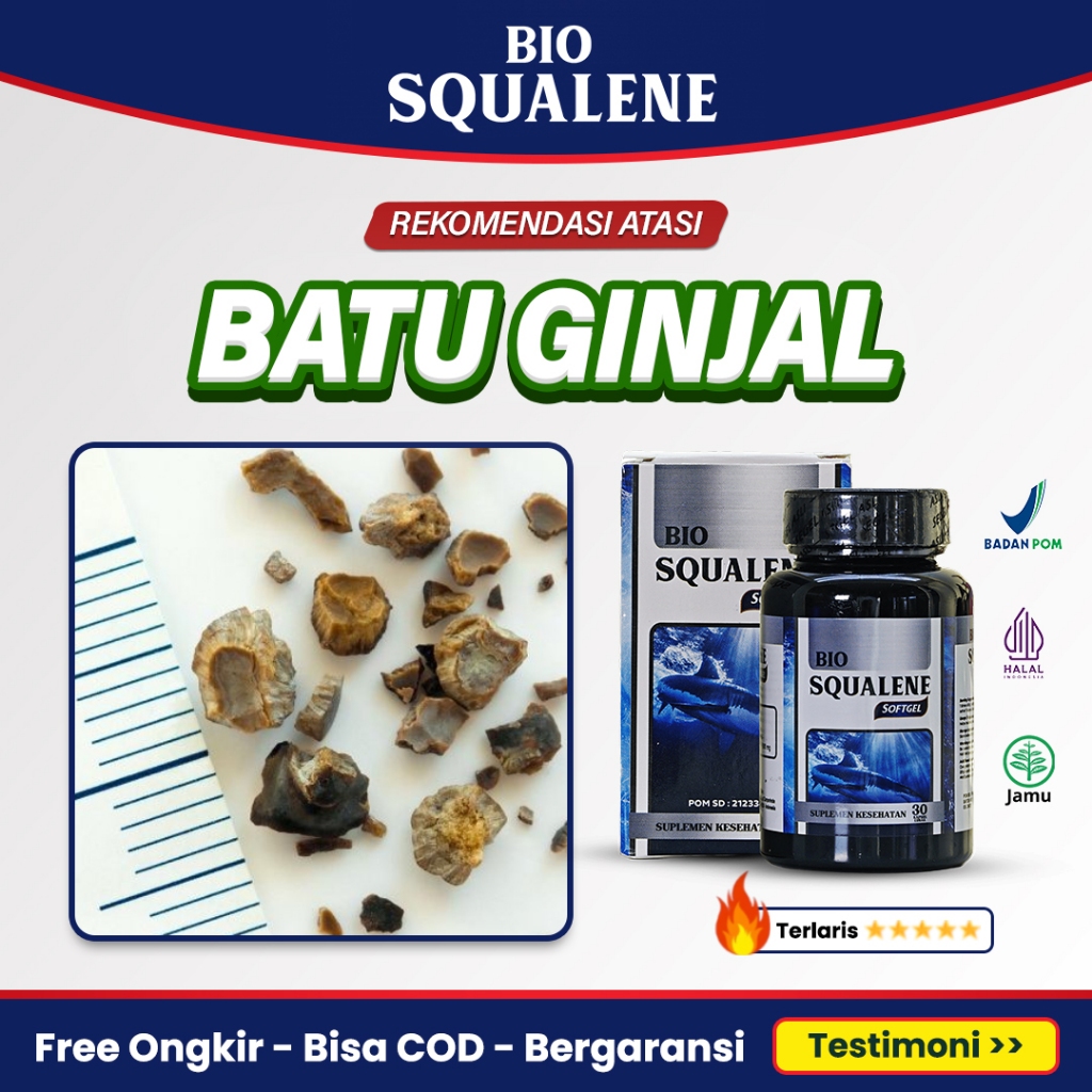 Jual Obat Batu Ginjal Penghancur Batuan di Ginjal Kencing Batu Sakit Kencing Buang Air Kecil Bio ...