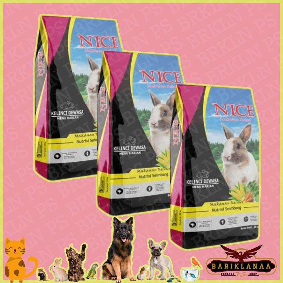 Jual NICE RABBIT 20KG - MAKANAN KELINCI NICE RABBIT KEMASAN 20KG ...