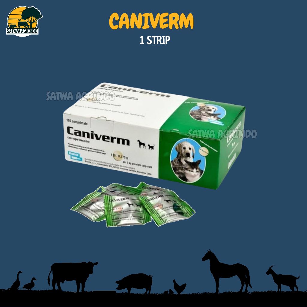 Jual Caniverm untuk Cat dan Dog - Obat Cacing Untuk Hewan Kesayangan ...