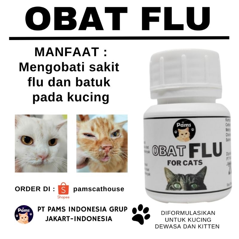 Jual OBAT FLU KUCING | Shopee Indonesia