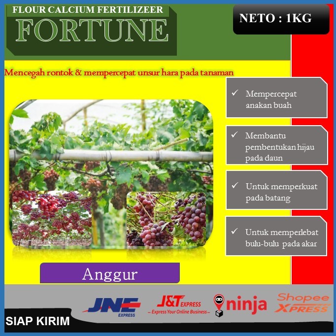 Jual PUPUK FORTUNE FLOUR Calcium Feltilliizer, pupuk mercepatan ...