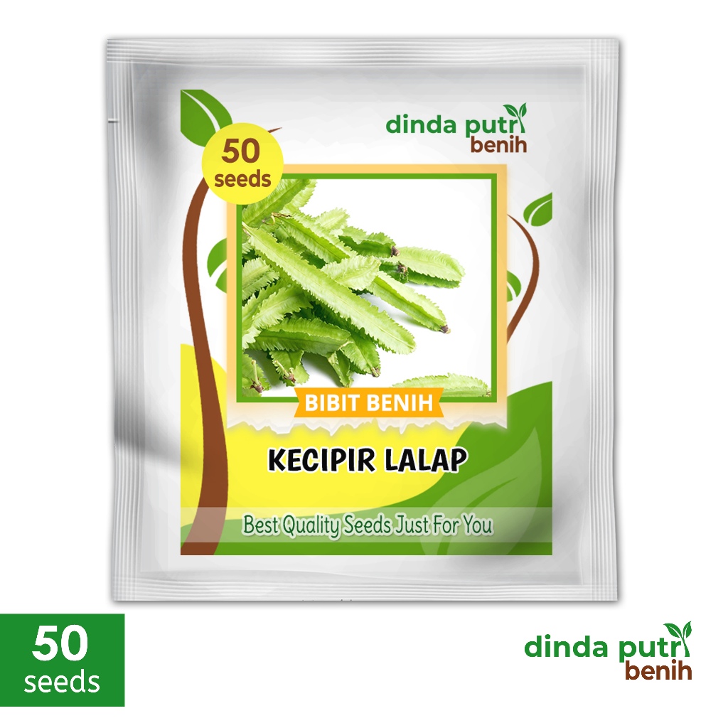 Jual Benih Kecipir Hijau kemasan 50 biji Benih kecipir hijau lalap ...