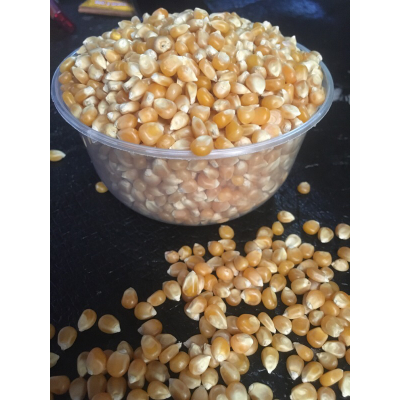 Jual Jagung POPCORN mentah untuk bikin popcorn 1 kg | Shopee Indonesia
