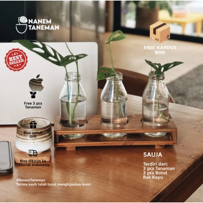 Jual Sauja: Paket Rak dan Tanaman Air | Shopee Indonesia