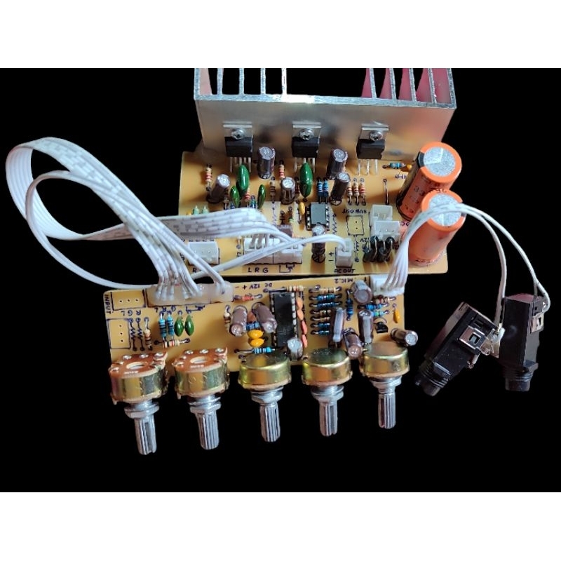 Jual Kit amplifier 2.1 subwoofer karaoke 2 mic, TDA2030 TDA2050 | Shopee Indonesia