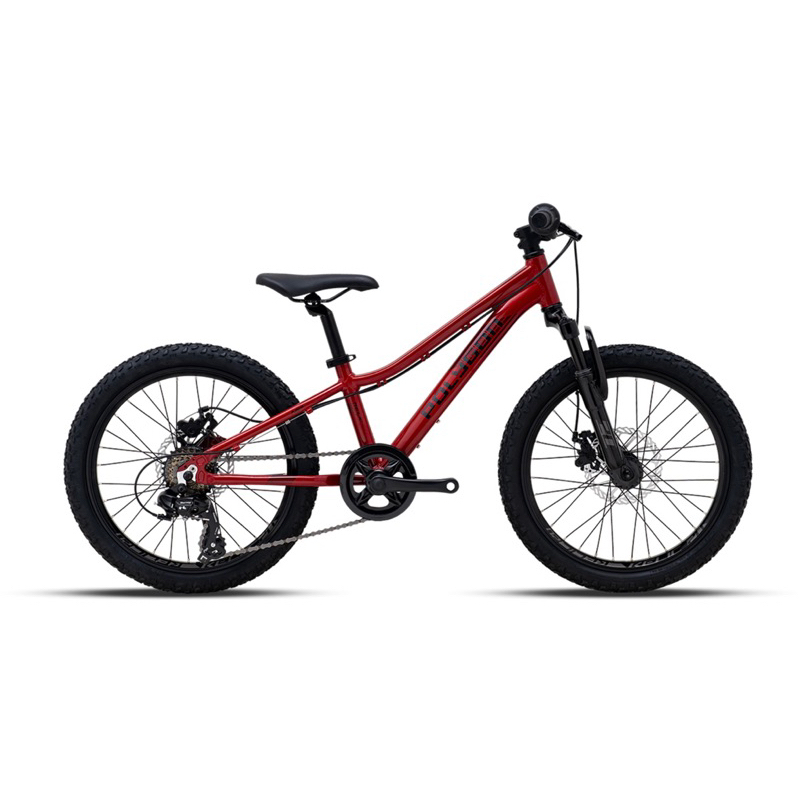 Jual Sepeda Anak Polygon 20 inch Relic Aloy | Shopee Indonesia