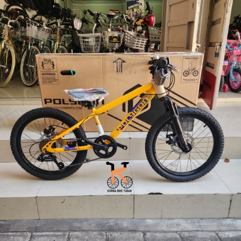 Jual Sepeda Anak MTB 20 Polygon Maze | Shopee Indonesia