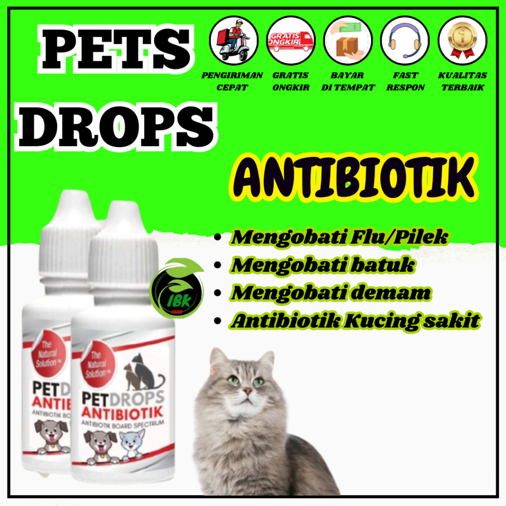 Jual Pet Drops 20ml Obat Antibiotik Kucing Cat Kitten Obat antibiotik ...