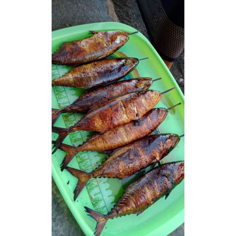 Jual ikan Asap Bulus/Kembung | Shopee Indonesia