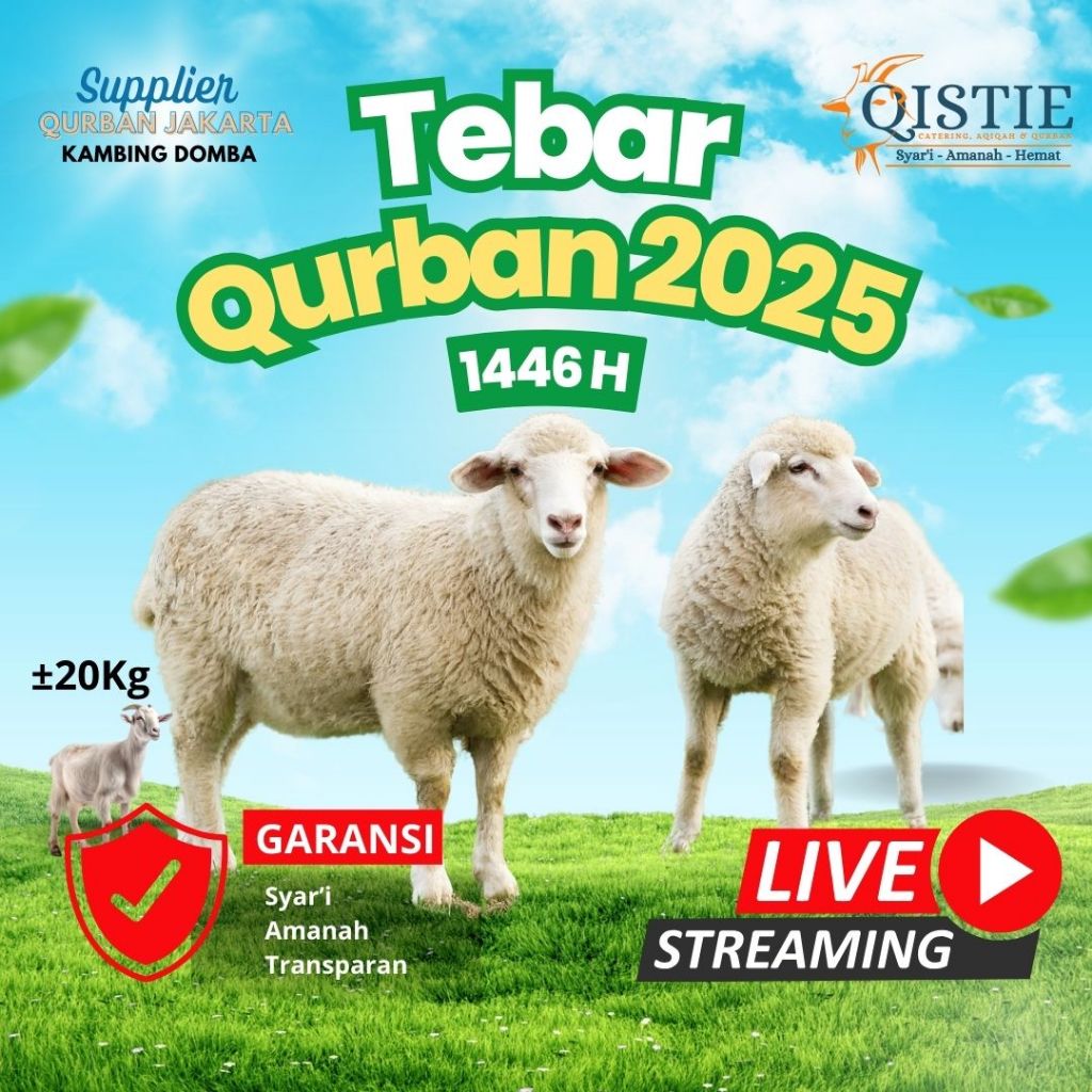 Jual Kambing Domba Kurban Idul Adha - Qurban Berkah Untuk Pelosok ...