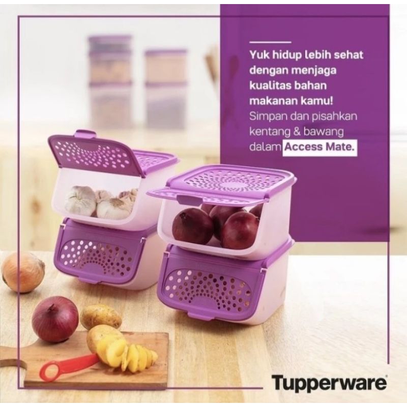 Jual TUPPERWARE SECOND UNGU/COPPER-ICHIGO SET-BOTOL MINYAK-SUP BOWL ...