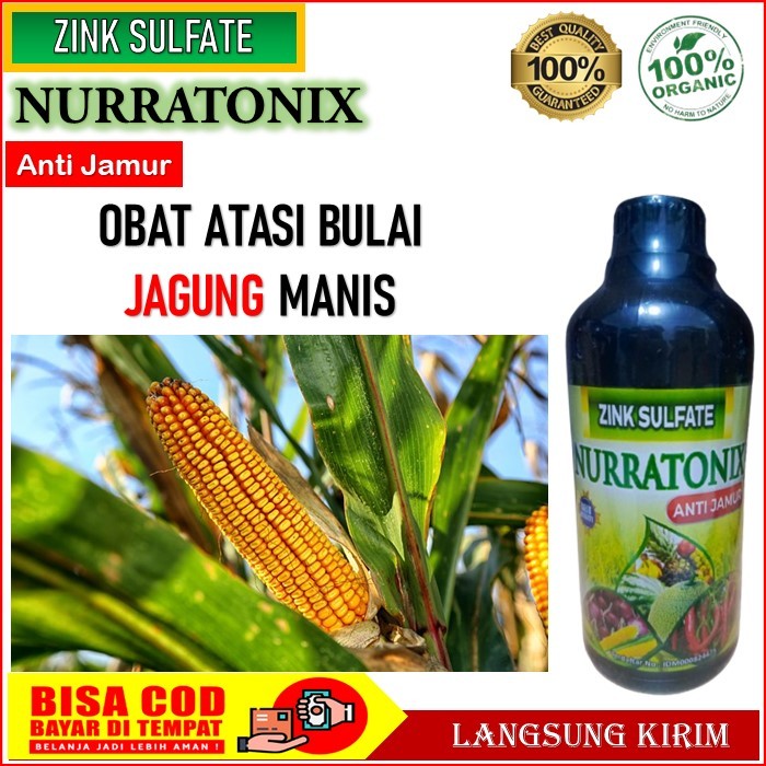 Jual Pupuk Jagung Terbaik - ZINK SULFATE NURRATONIX ANTI JAMUR mencegah bulai jagung manis ...