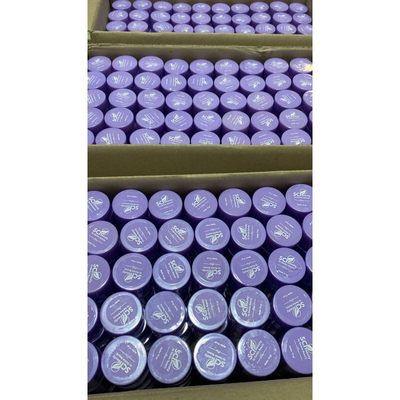 Jual Sunscreen SCI Beauty Reborn New Pack Ungu | Shopee Indonesia
