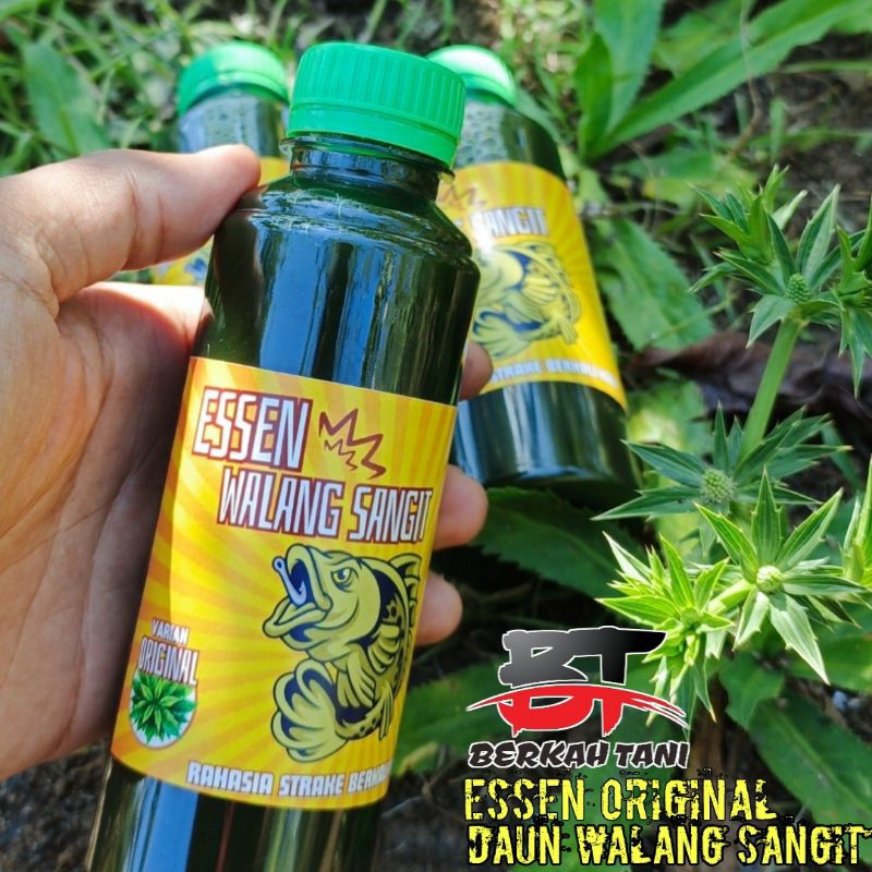 Jual ESSEN IKAN NILA / JUS DAUN WALANG SANGIT / ESSEN DAUN WALANG ...