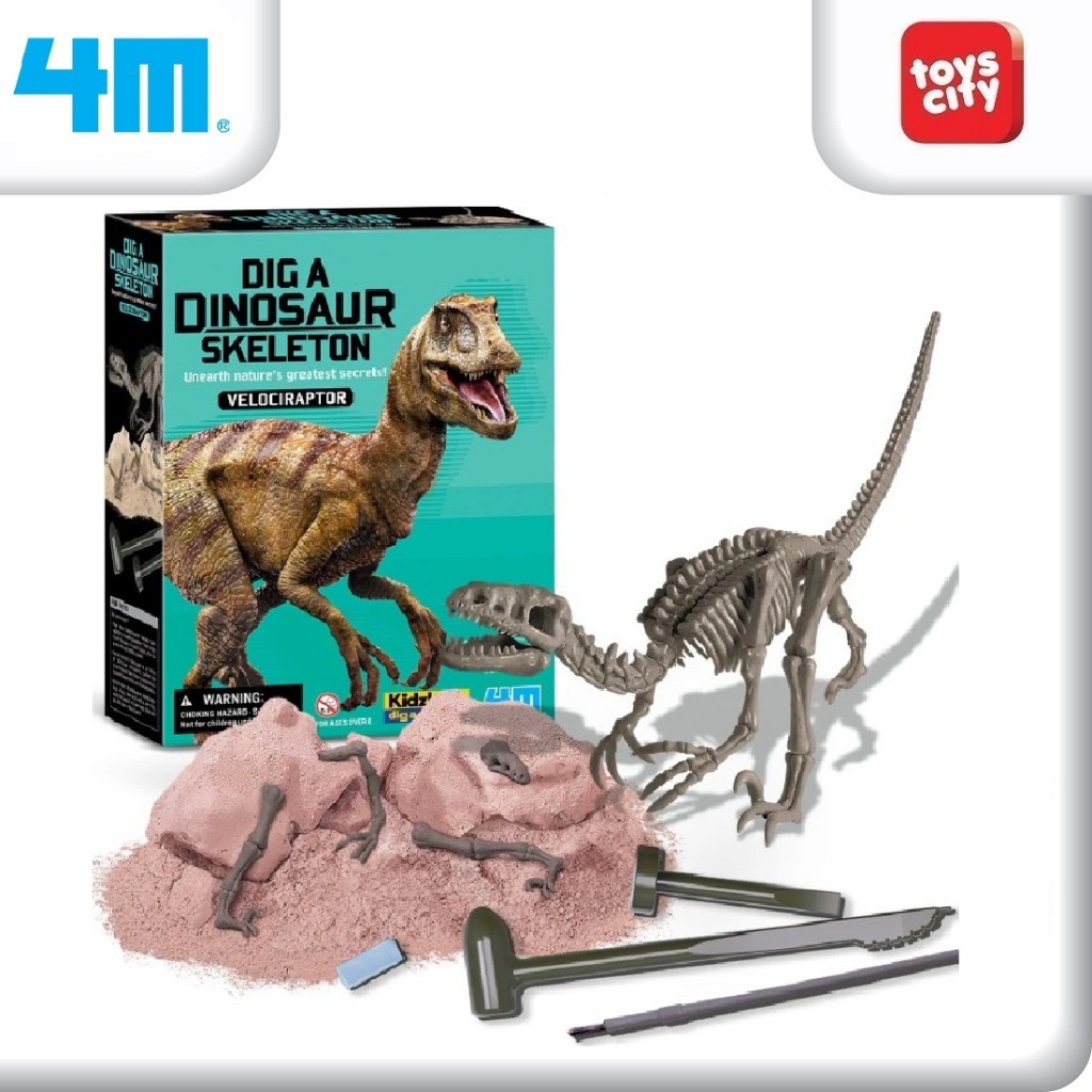 Jual 4M Kidzlabs Dig A Dinosaur Skeleton Velociraptor - Mainan Gali ...