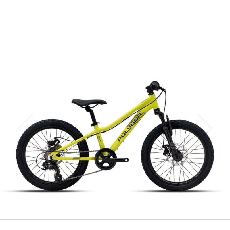 Jual sepeda gunung MTB Junior Polygon Relic 20 inch | Shopee Indonesia