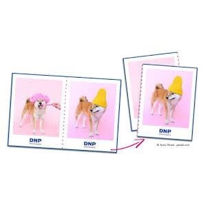 Jual DNP Media DS-RX1HS 4x6 - PERFORATED ( PER ROLL ) | Shopee Indonesia