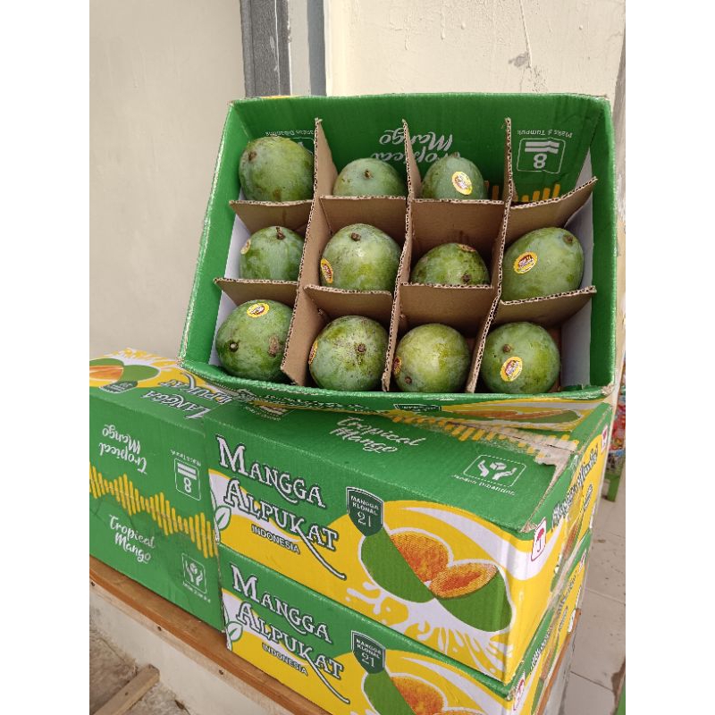 Jual Buah Mangga Alpukat Manis 1 Kg | Shopee Indonesia
