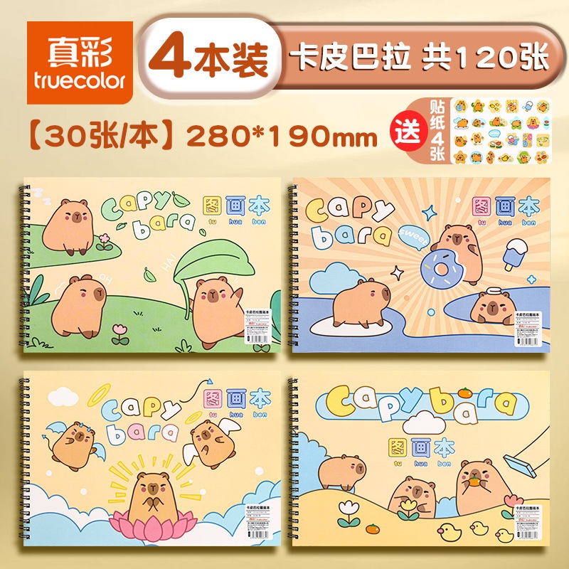 Jual BUKU SKETSA MENGGAMBAR DRAWING BOOK GAMBAR CAPYBARA KAPIBARA (30 ...