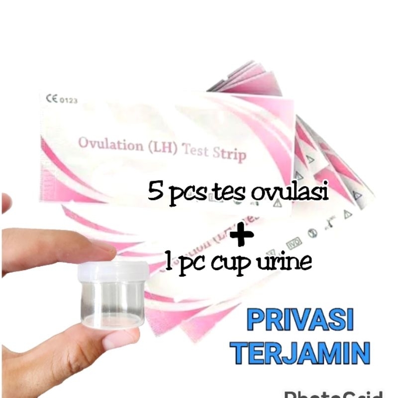 Jual tes ovulasi 10 pcs dan 5pcs + cup urin masa subur LH ovulation ...