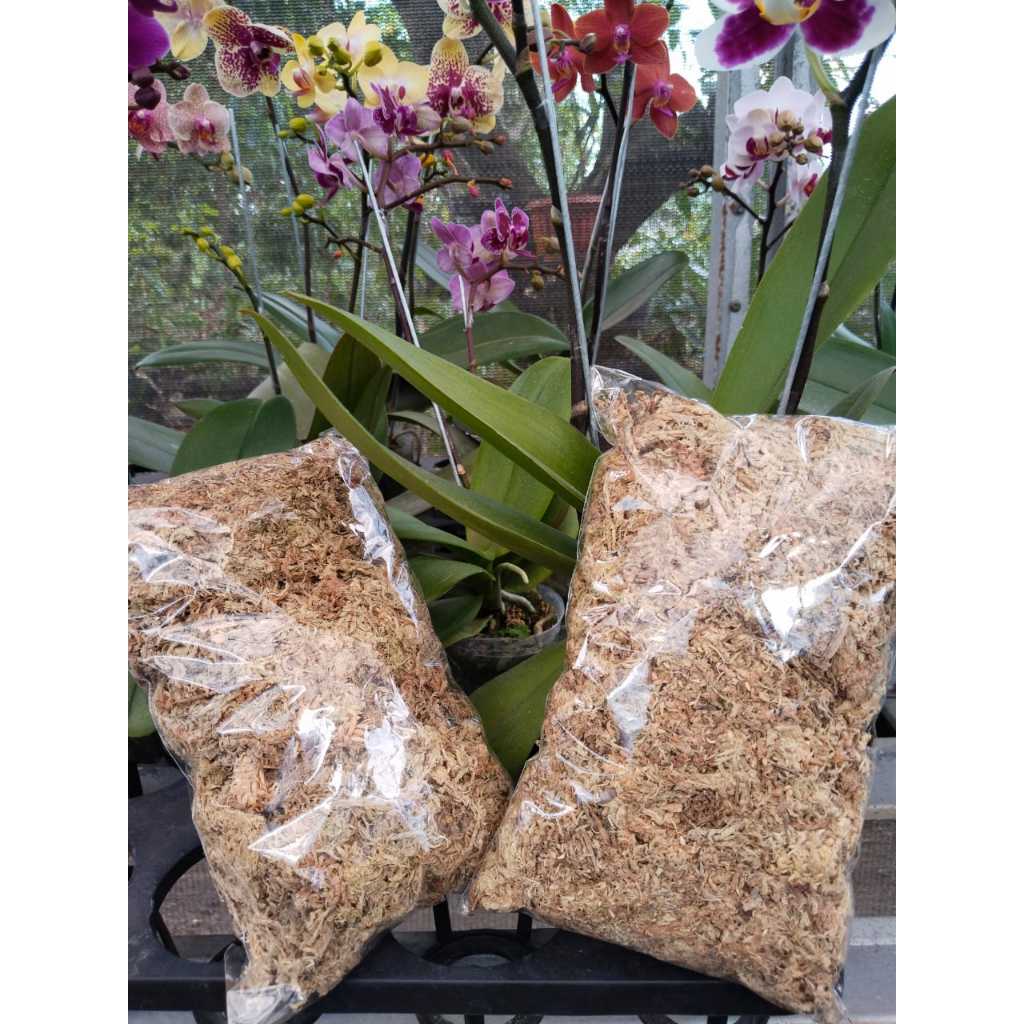 Jual Media Tanam Anggrek Sphagnum Moss Putih | Shopee Indonesia