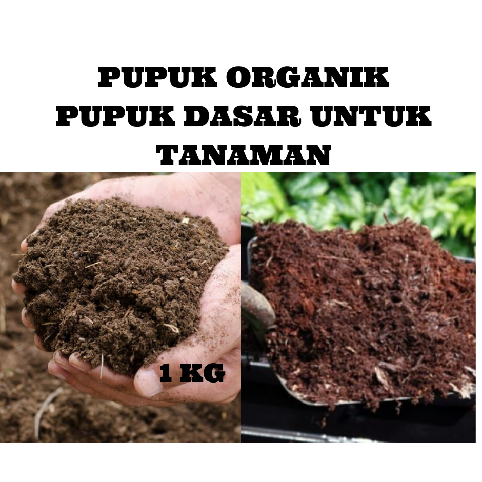 Jual KOMPOS PUPUK ORGANIK PADAT PUPUK DASAR TANAMAN UNTUK CAMPURAN ...