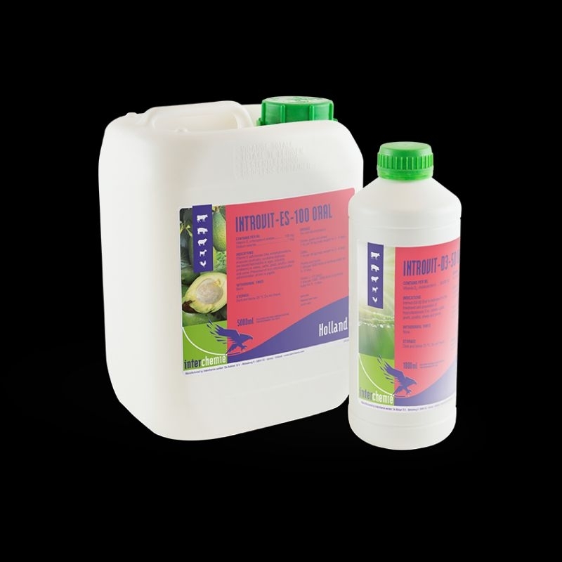 Jual Introvit ES 100 oral 1 Liter | Shopee Indonesia