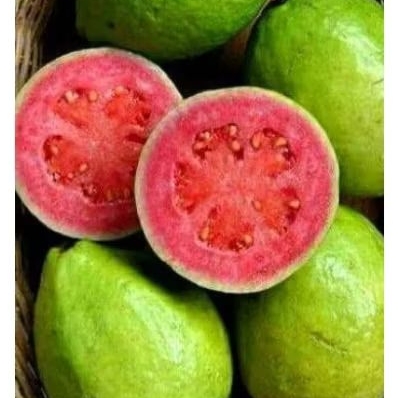 Jual Jambu (Merah/kristal) | Shopee Indonesia