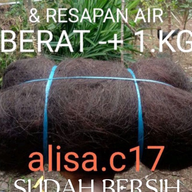 Jual KI3 Ijuk Aren Resapan 1 kg Sudah Bersih Media Tanam Injuk Resapan ...