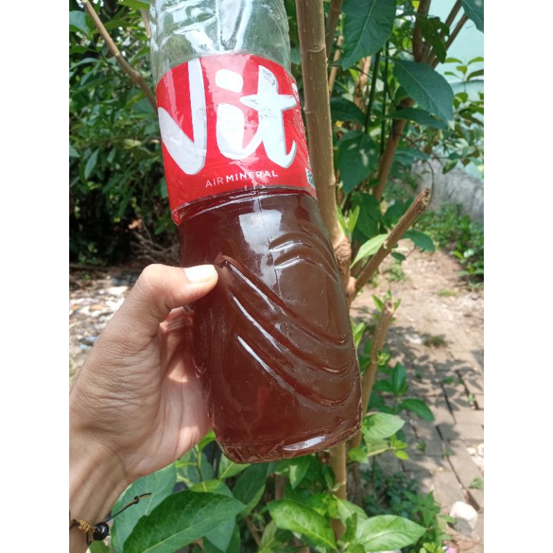 Jual Madu Alam Asli per botol aqua sedang 600ml | Shopee Indonesia