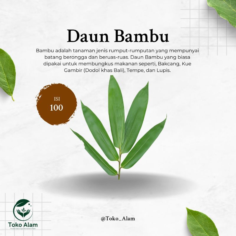 Jual Daun Bambu 100 Lembar | Shopee Indonesia