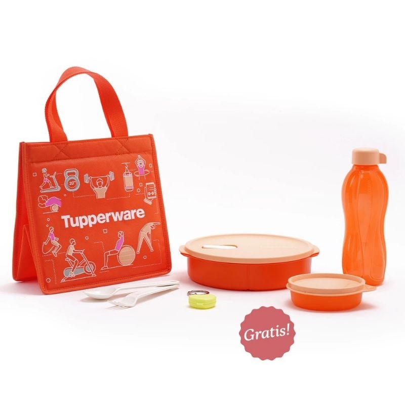 Jual Wadah Bekal / Tepak Makan Anak Lucu Fit To Go Orange Tupperware ...