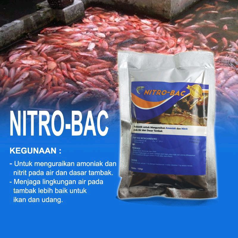 Jual Probiotik Nitrobacter/nitrobacter/probiotik koi/nitrobacter ...