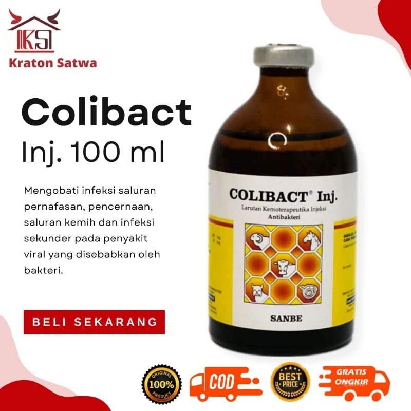 Jual COLIBACT Injeksi 100 ml Obat Antibiotik Hewan Spektrum Luas ...