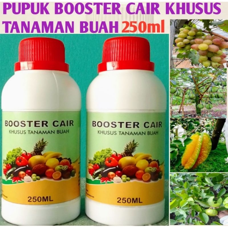 Jual PUPUK BOOSTER CAIR KHUSUS TANAMAN BUAH 250 ML | Shopee Indonesia