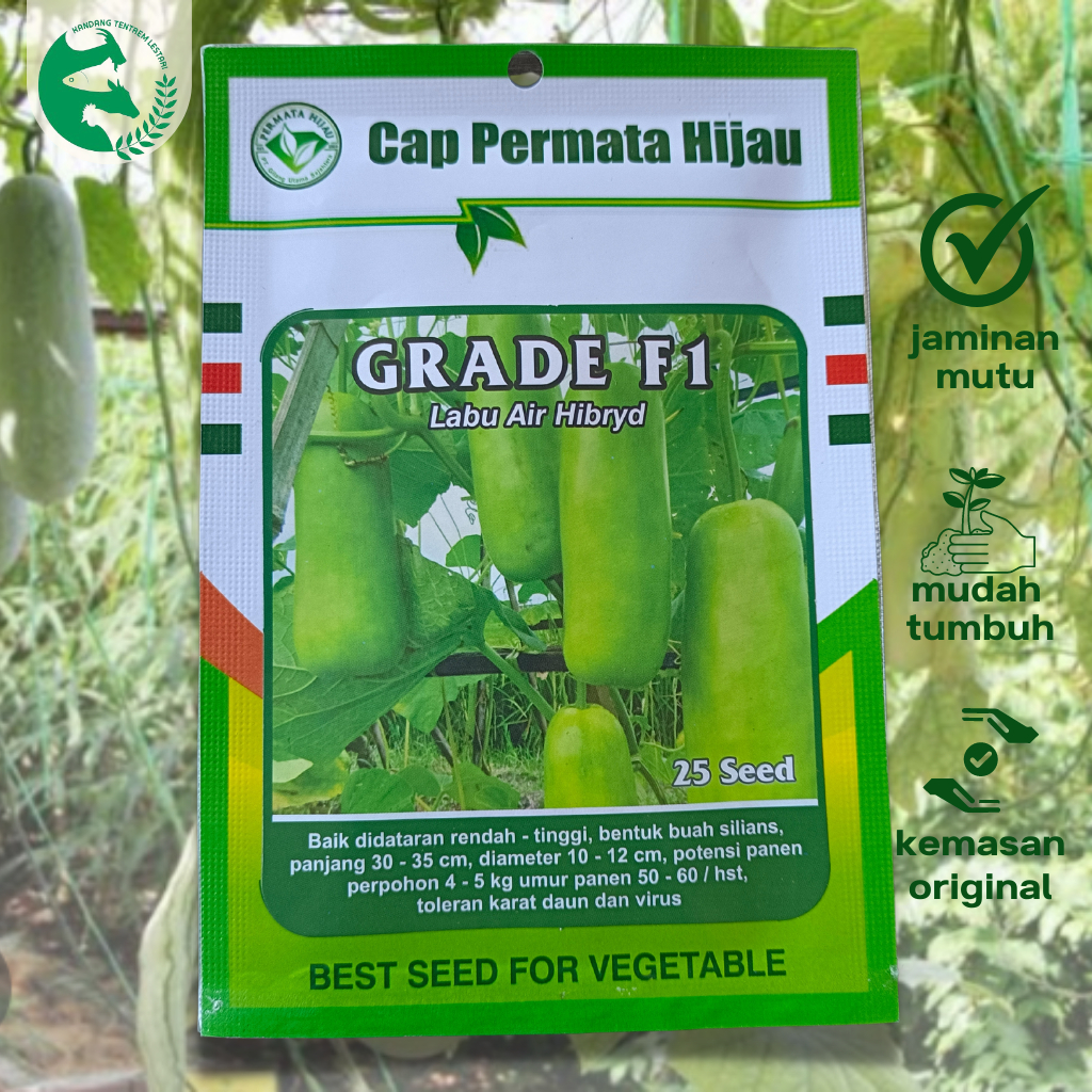 Jual Benih Labu Air GRADE F1 25 Biji Labu Besar Kemasan Ori Pabrik Cap ...