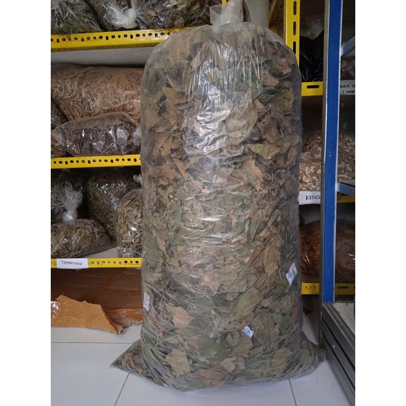 Jual Simplisia Daun Sirih Hijau Kering Premium | Shopee Indonesia