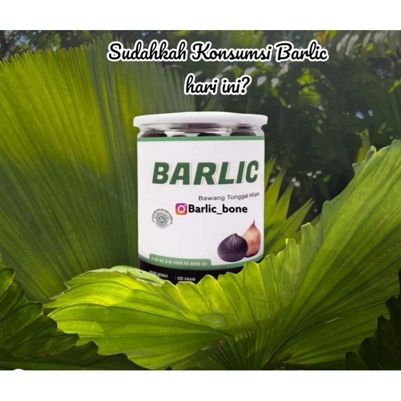 Jual BARLIC || BLACK GARLIC || Bawang Tunggal Hitam - Import | Shopee ...
