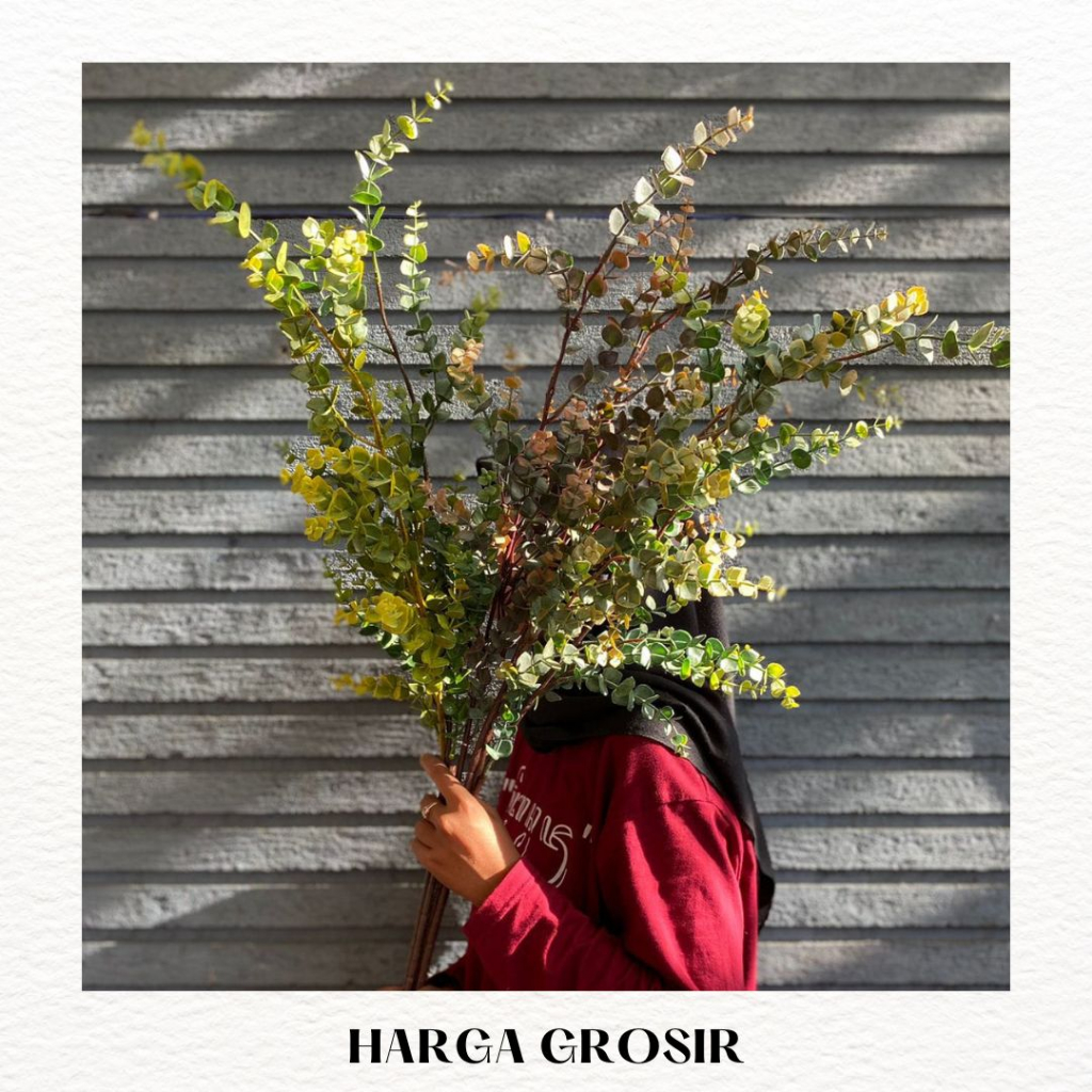 Jual DAUN PALSU LONG EUCALYPTUS 107CM ARTIFICIAL LEAVES FLOWER BUNGA ...