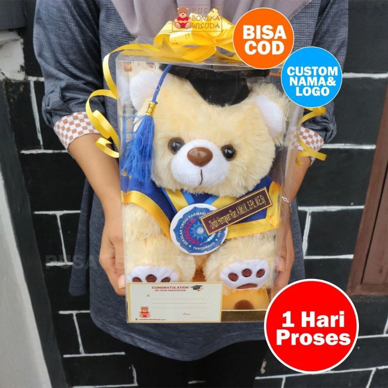 Jual BONEKA WISUDA + BOX MIKA 1 HARI JADI | Shopee Indonesia