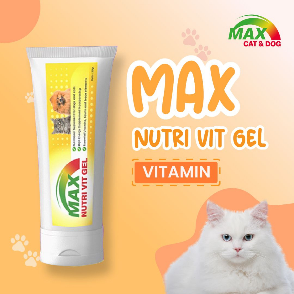 Jual MAX NUTRI VIT GEL Suplemen kaya gizi untuk kucing dan anjing ...