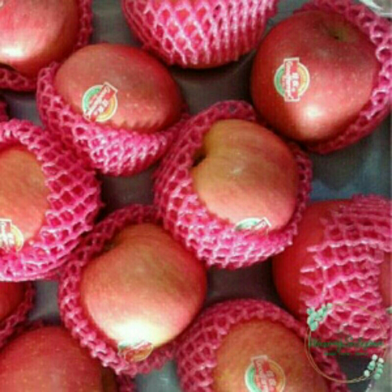 Jual Buah Apel Fuji Merah 1 kg | Shopee Indonesia