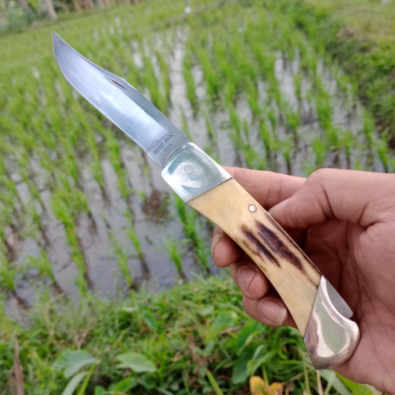 Jual Bear MGC Cutlery Folding Hunter knife KLC16308 Stag Scale Handle ...