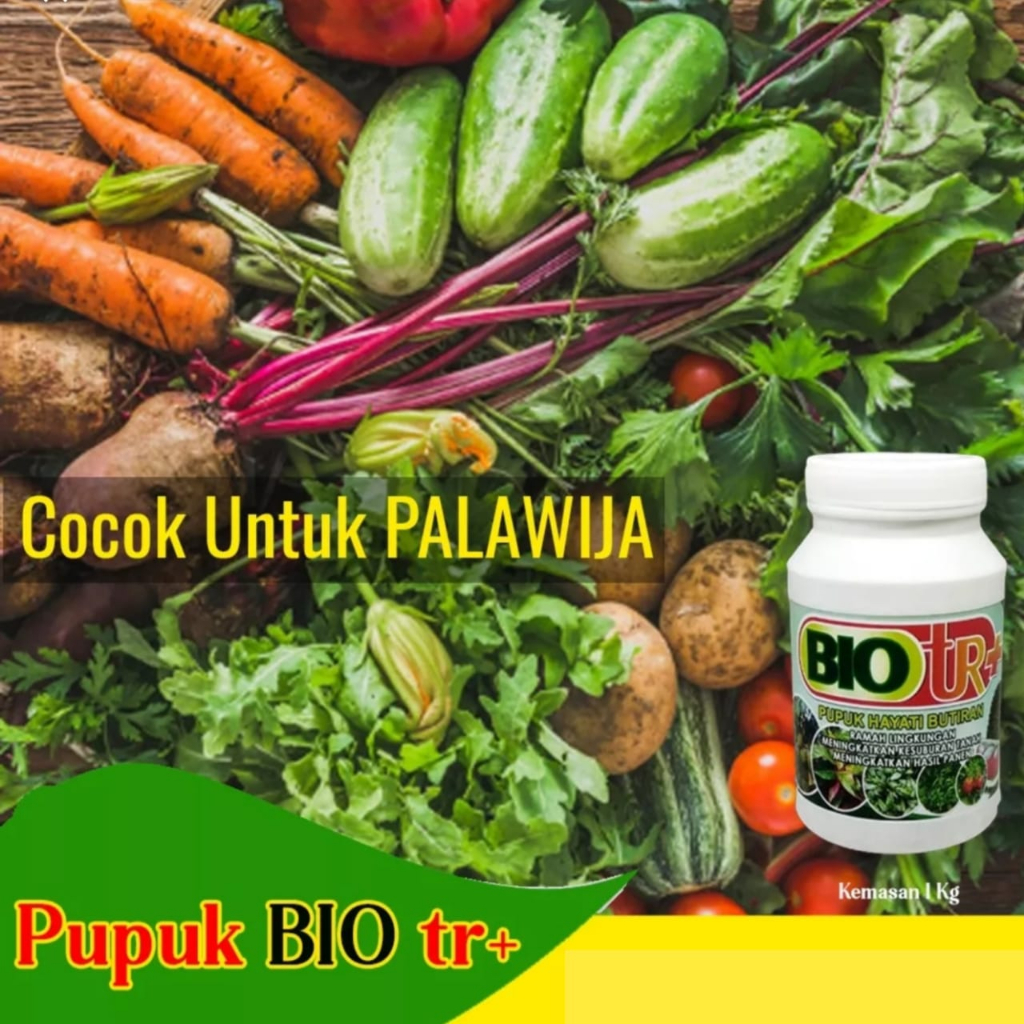 Jual Pupuk Tanaman Buah Dan Pupuk Bunga Organik Kemasan 1 Kg | Shopee ...