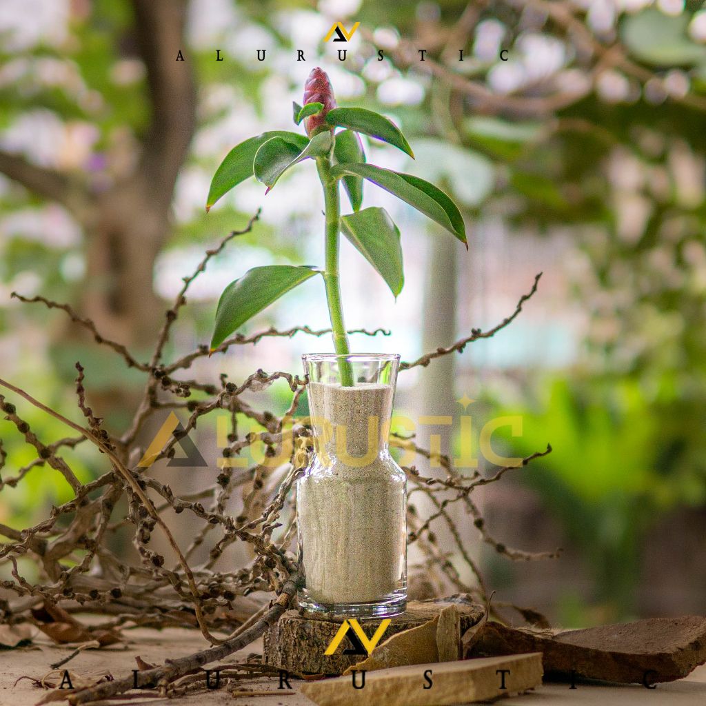 Jual VAS BUNGA KACA BENING / VAS KACA CARAFE AESTHETIC / VAS ESTETIK ...