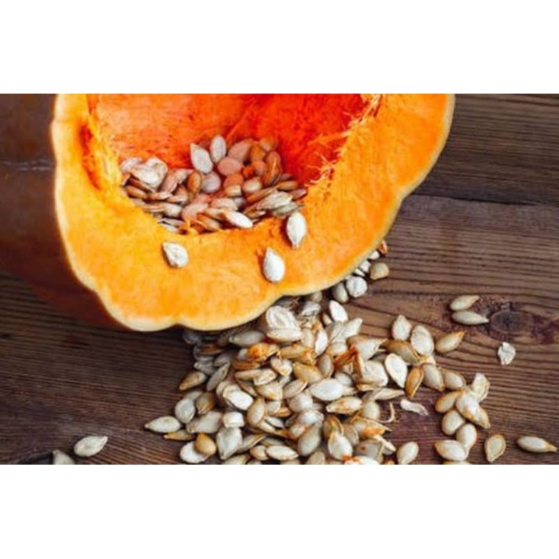 Jual 50 biji benih labu kuning siap tanam | Shopee Indonesia